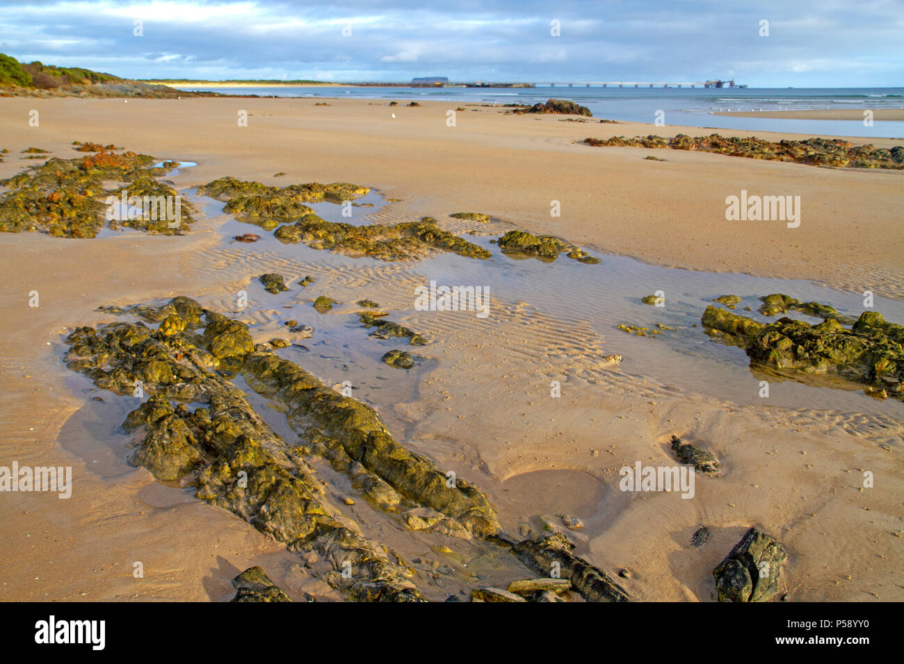 View to Stanley and the Nut from Port Latta Stock Photo - Alamy