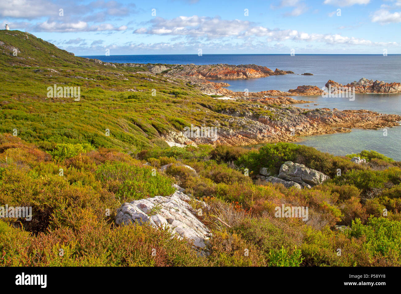 The rugged coastline of Rocky Cape National Park Stock Photo - Alamy