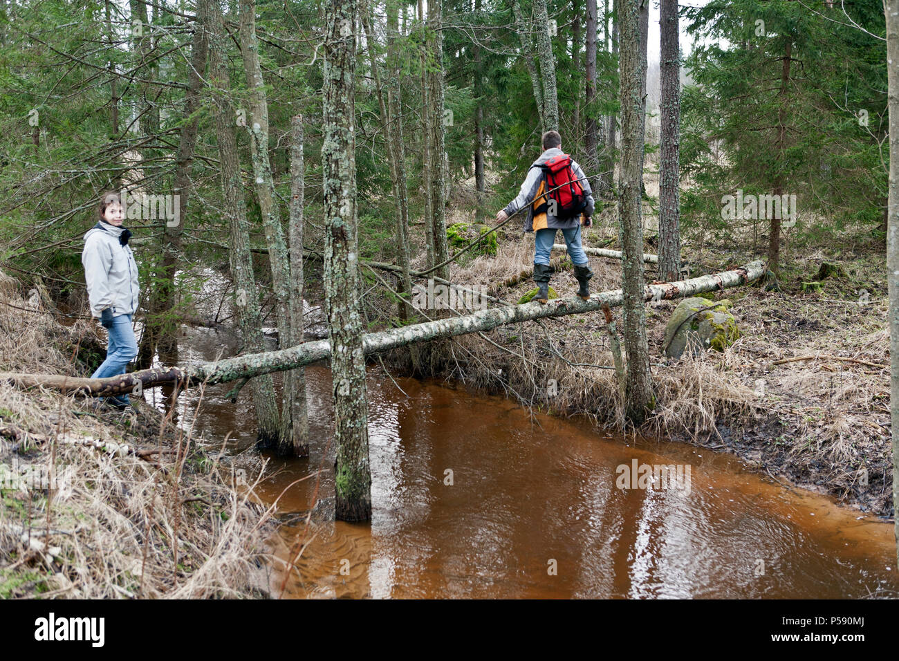 Man crossing river using log as bridge Stock Photo - Alamy