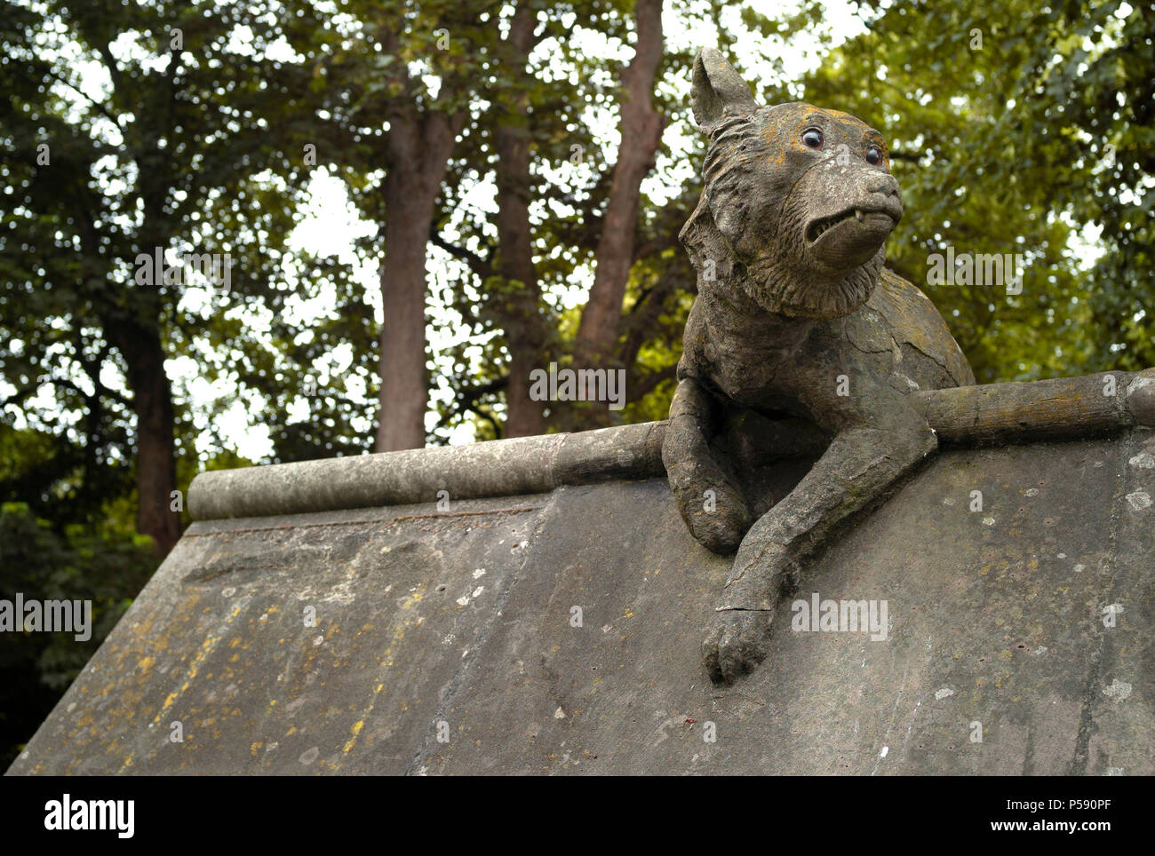 Bute park cardiff animal wall hi-res stock photography and images - Alamy