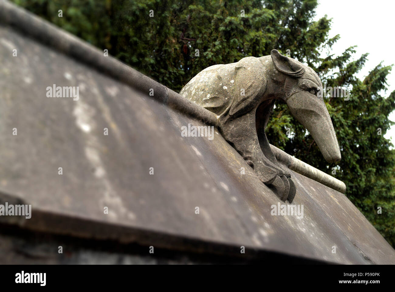 Bute park cardiff animal wall hi-res stock photography and images - Alamy