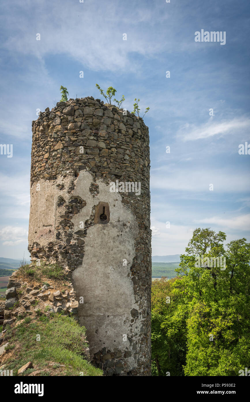 Ruins of Saris castle near Presov in Slovakia Stock Photo - Alamy