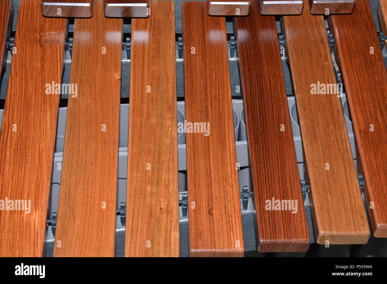 Zoom on a modern Xylophone Stock Photo - Alamy