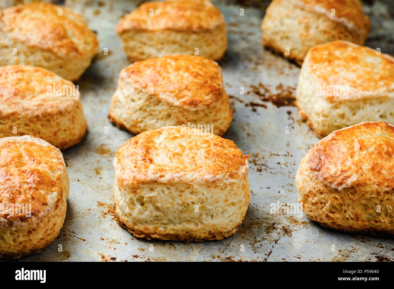 homemade English cheese buns scones are baked on baking sheet Stock ...