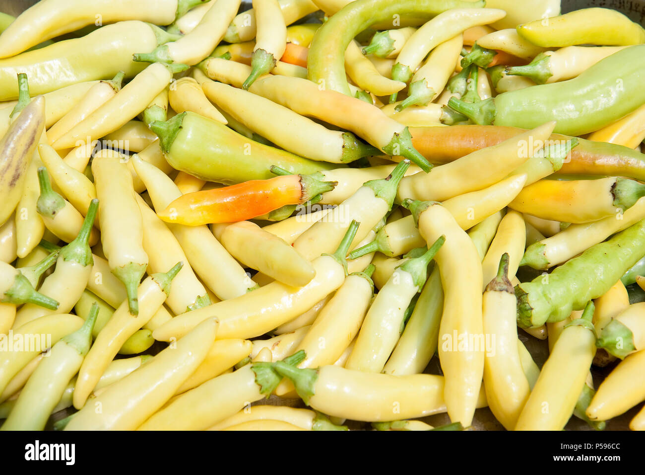 Hot chilli paprika, texture, spice Serbia Stock Photo - Alamy