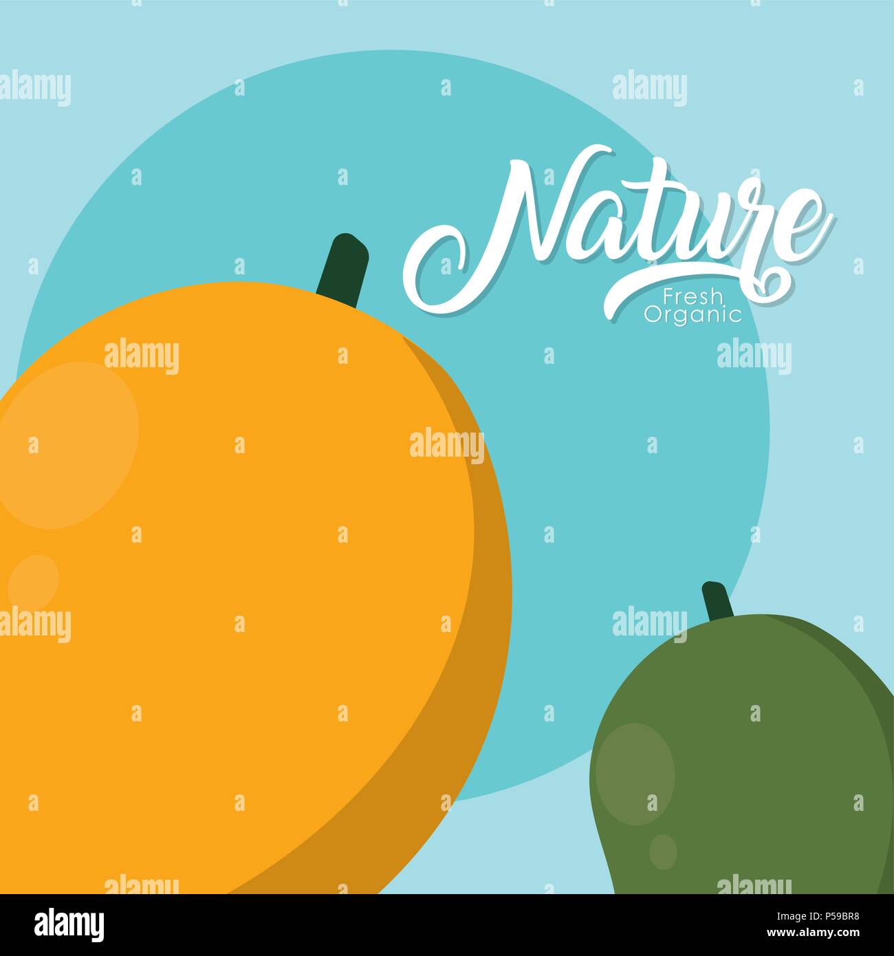 Mangoes fresh and organic fruit vector illustration graphic design ...