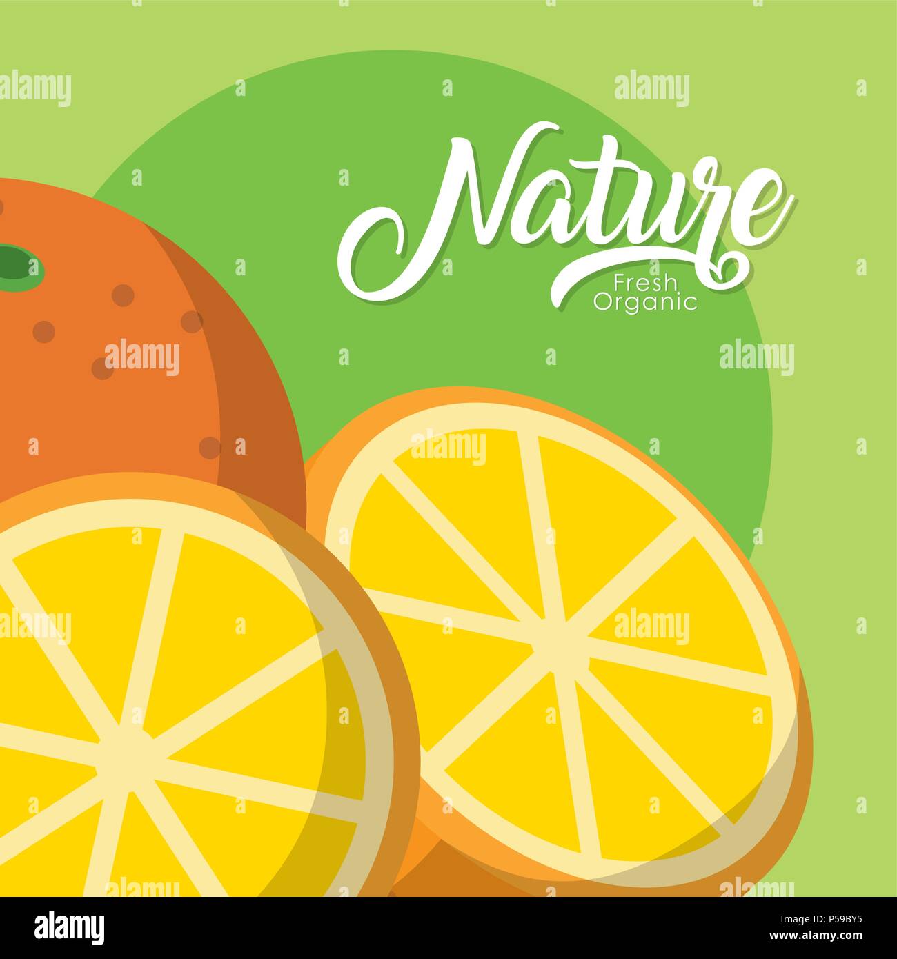 Oranges in half cut fruit vector illustration graphic design Stock ...