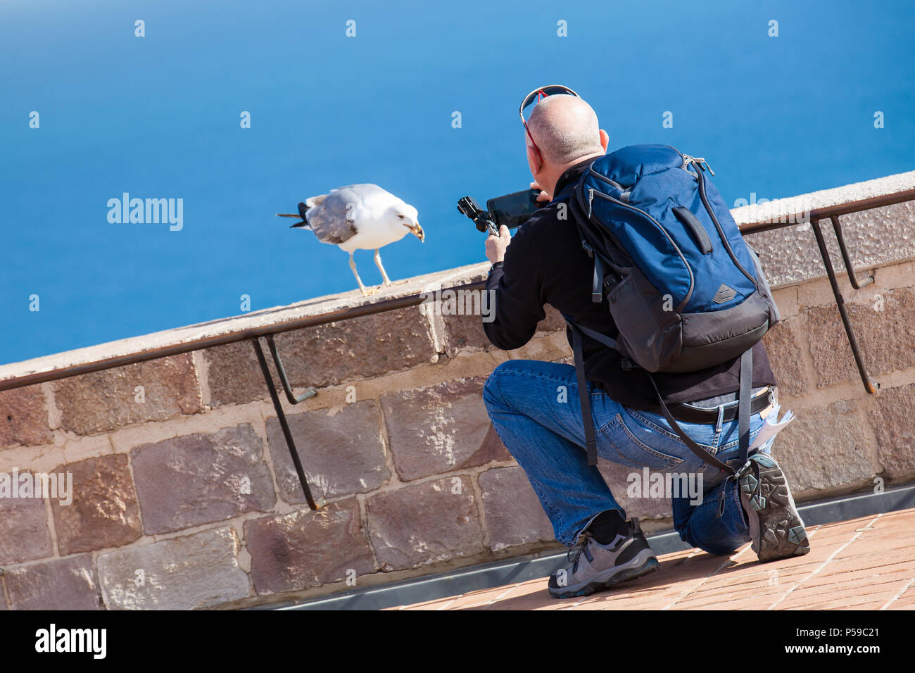 Close up bird picture hi-res stock photography and images - Alamy
