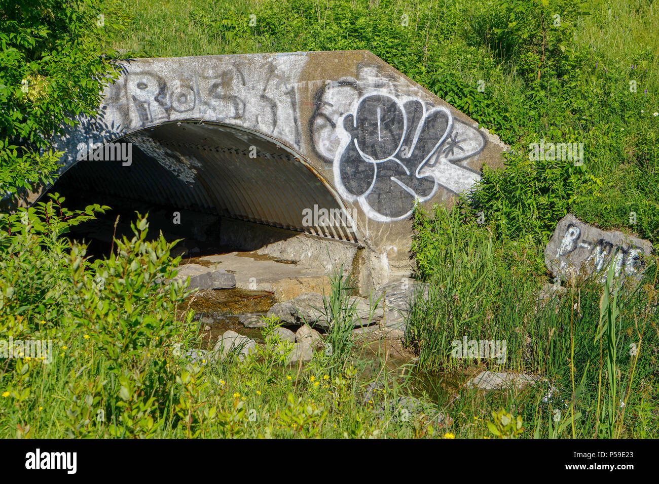 Graffiti on bridge Stock Photo - Alamy