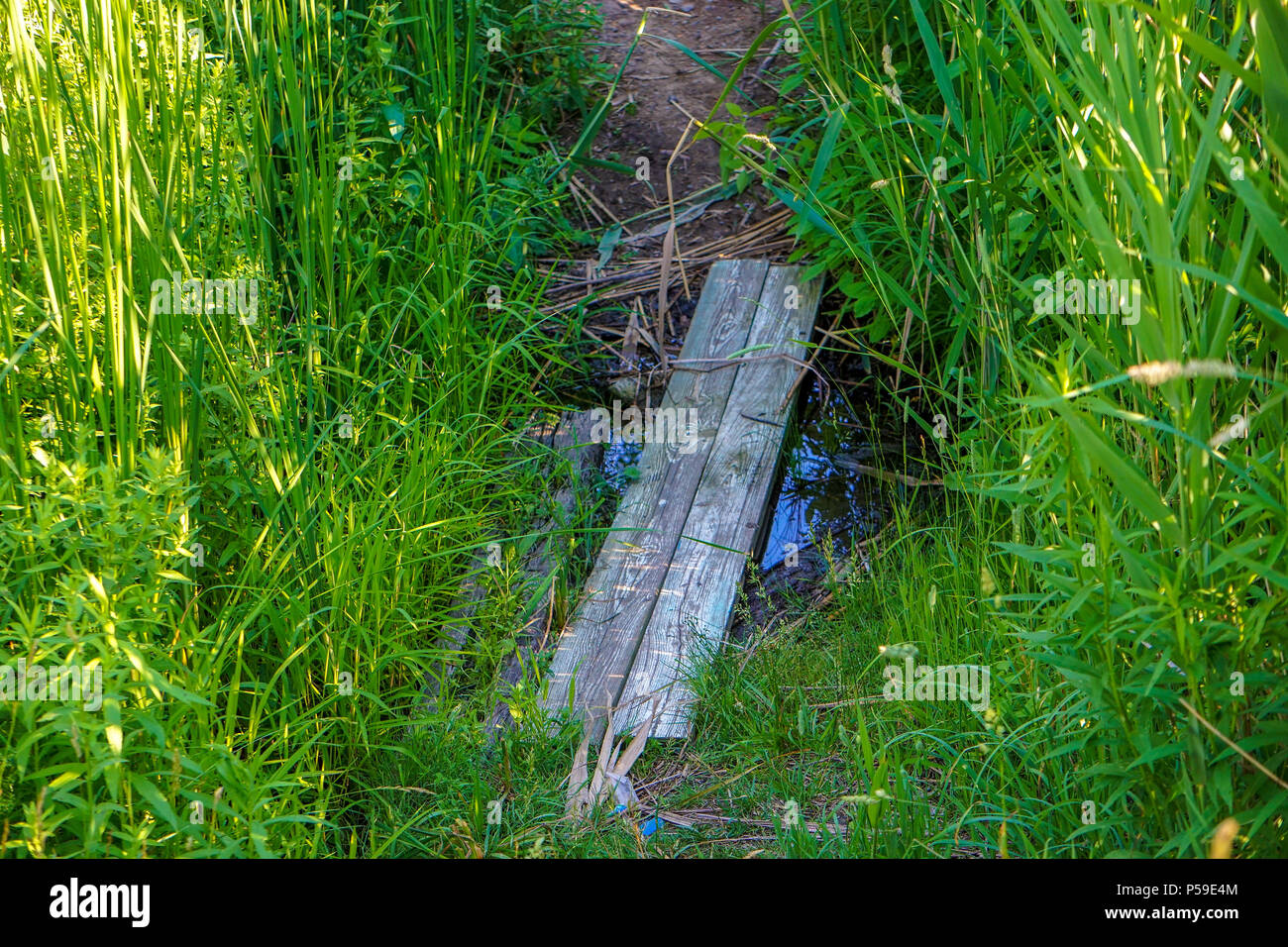 Plank walk walkway hi-res stock photography and images - Alamy