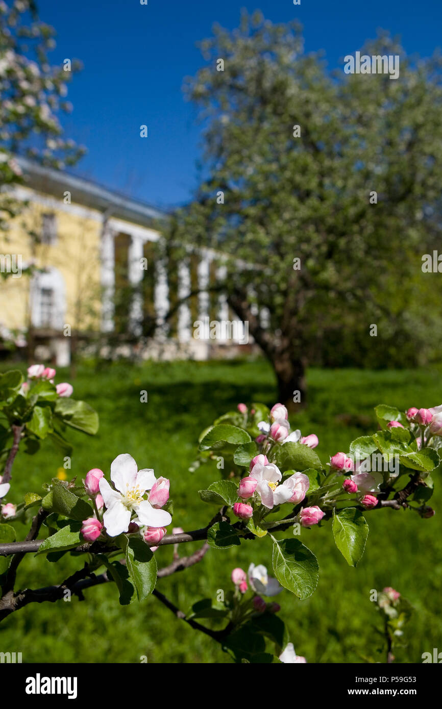 Apple colonnade hi-res stock photography and images - Alamy