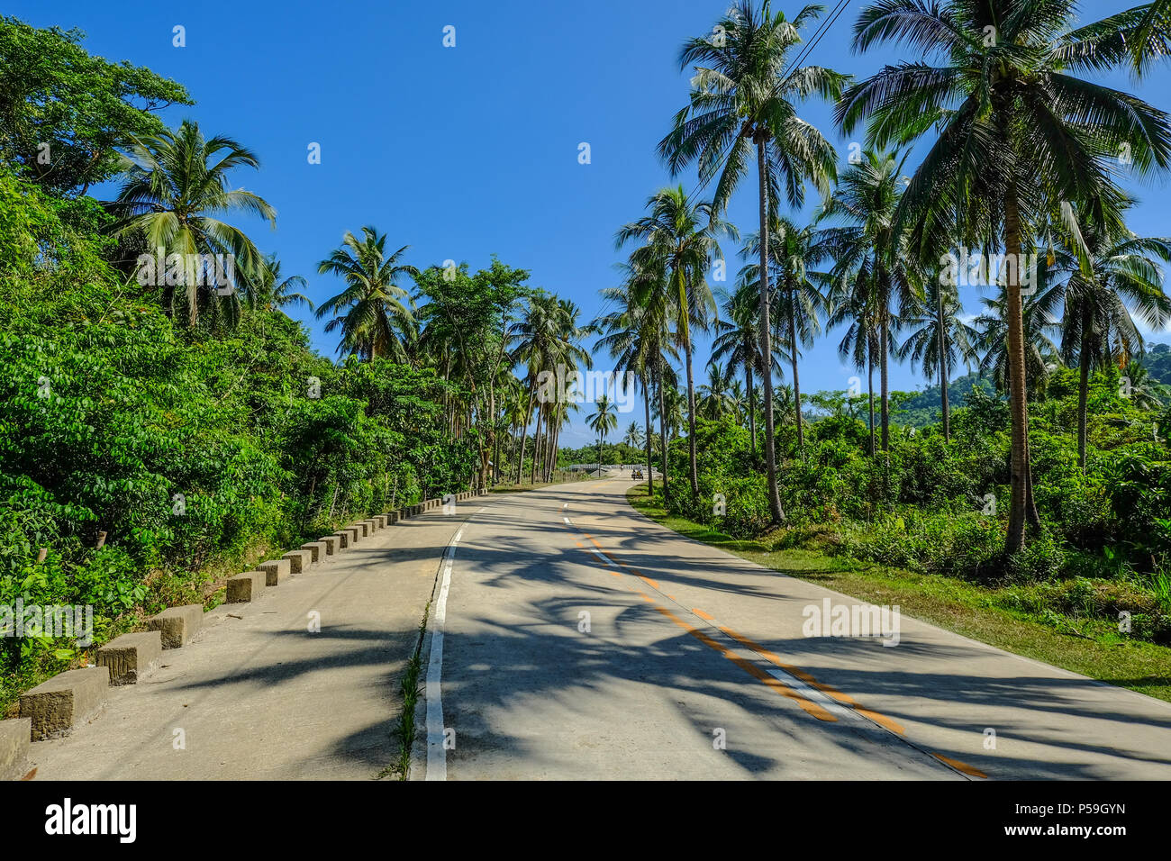 Rural road with coconut trees at summer day in Palawan, Philippines ...