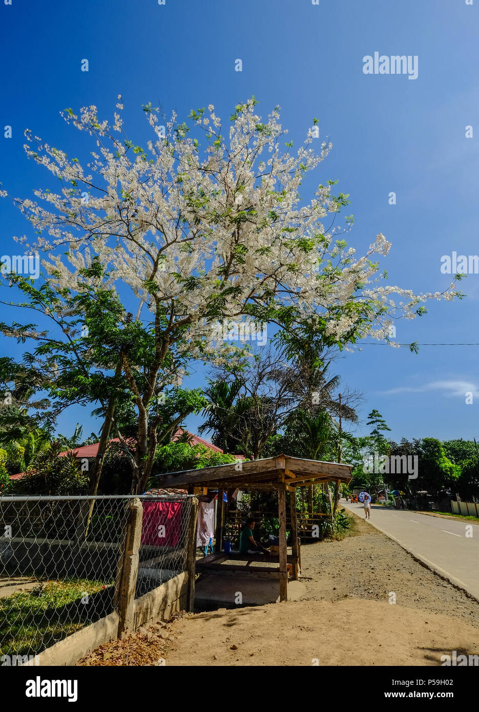 Palawan, Philippines - Apr 5, 2017. Rural road at summer day in Palawan ...