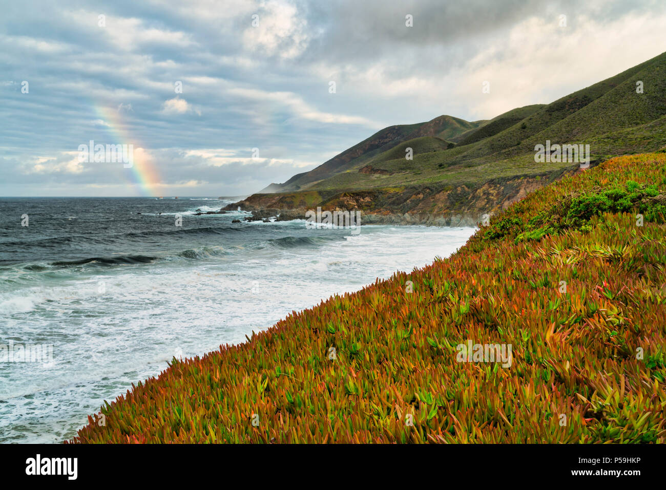 Garrapata State Park Stock Photo - Alamy