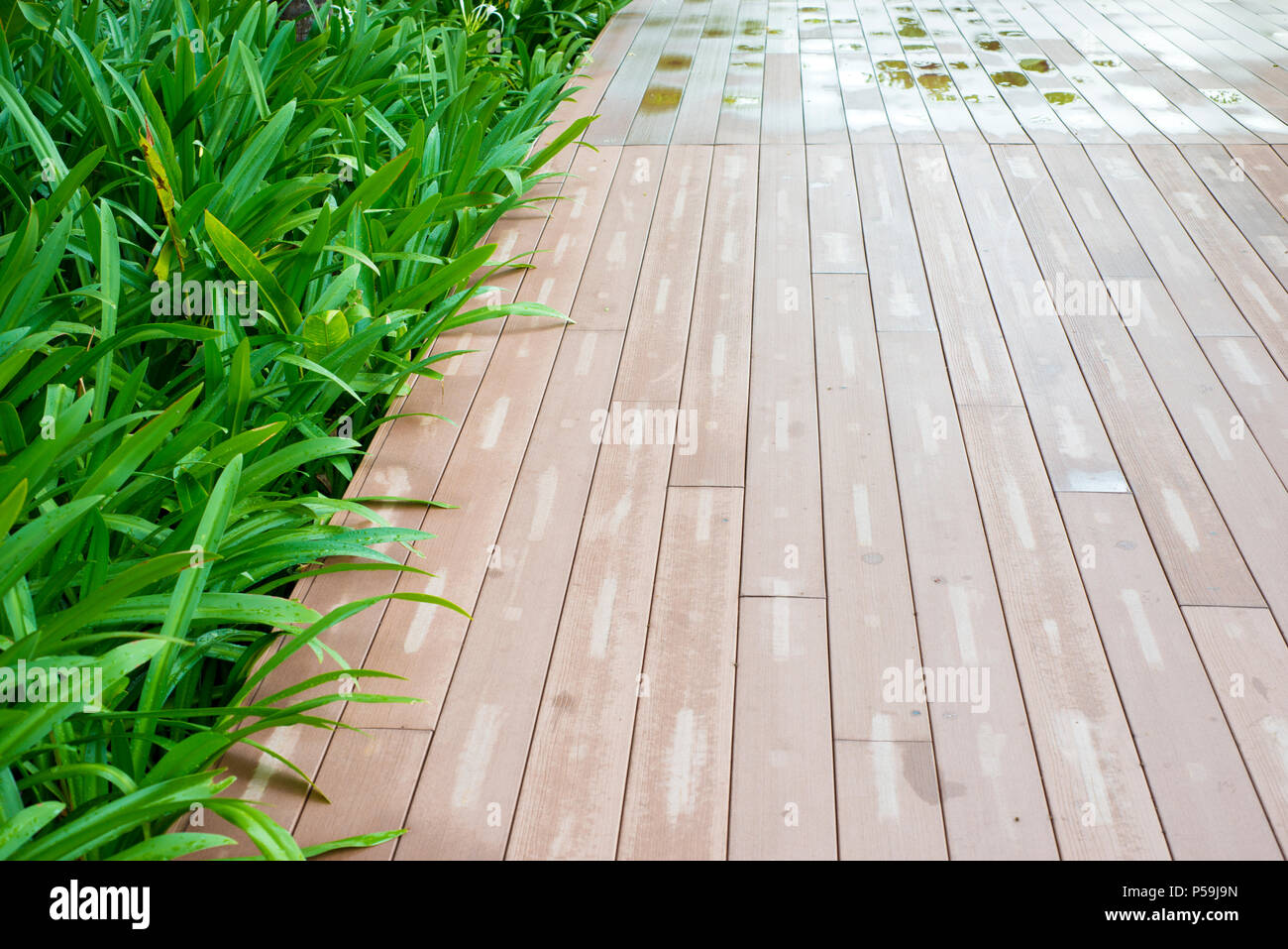 Garden deck clean hi-res stock photography and images - Alamy