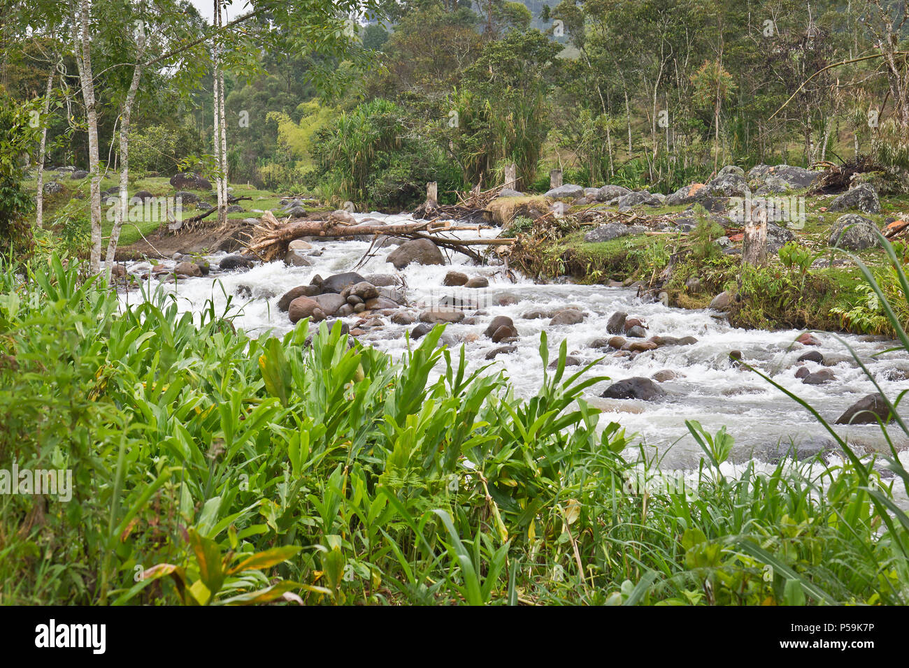 River in Colombia Stock Photo - Alamy