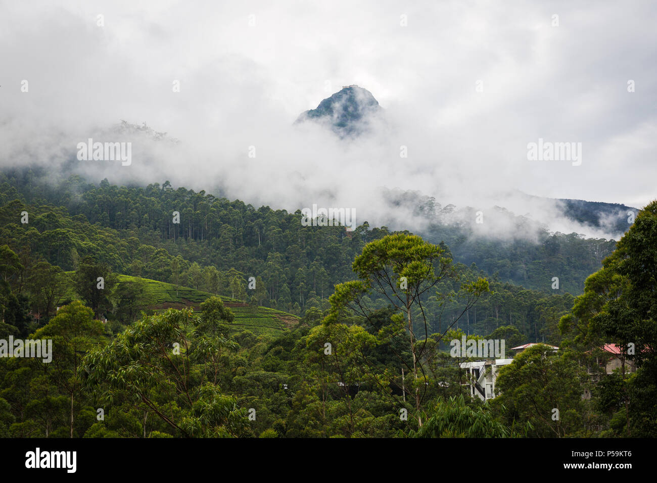 Climbing adams peak hi-res stock photography and images - Alamy