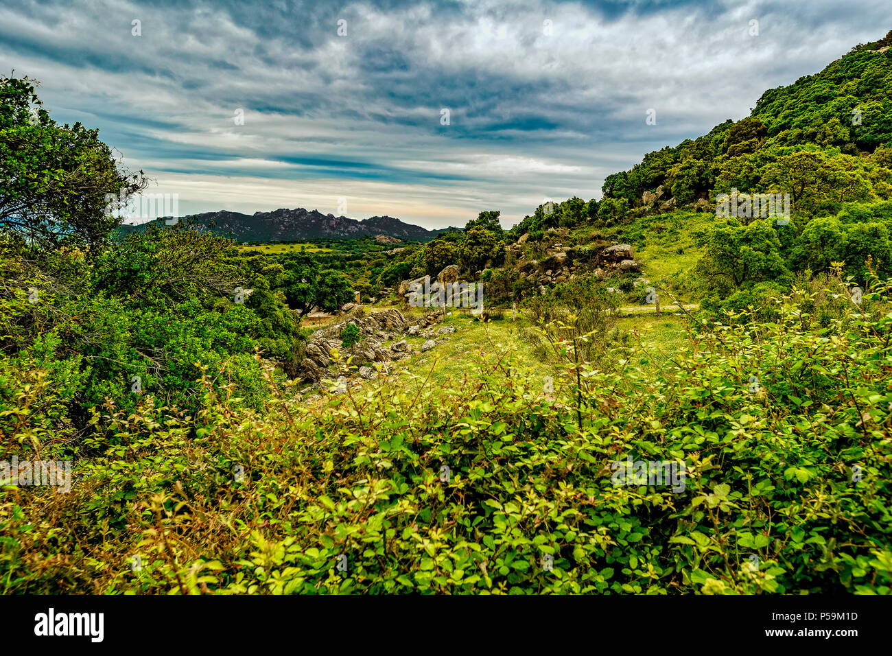 Italy Sardinia Strada Panoramica Aggius Stock Photo - Alamy