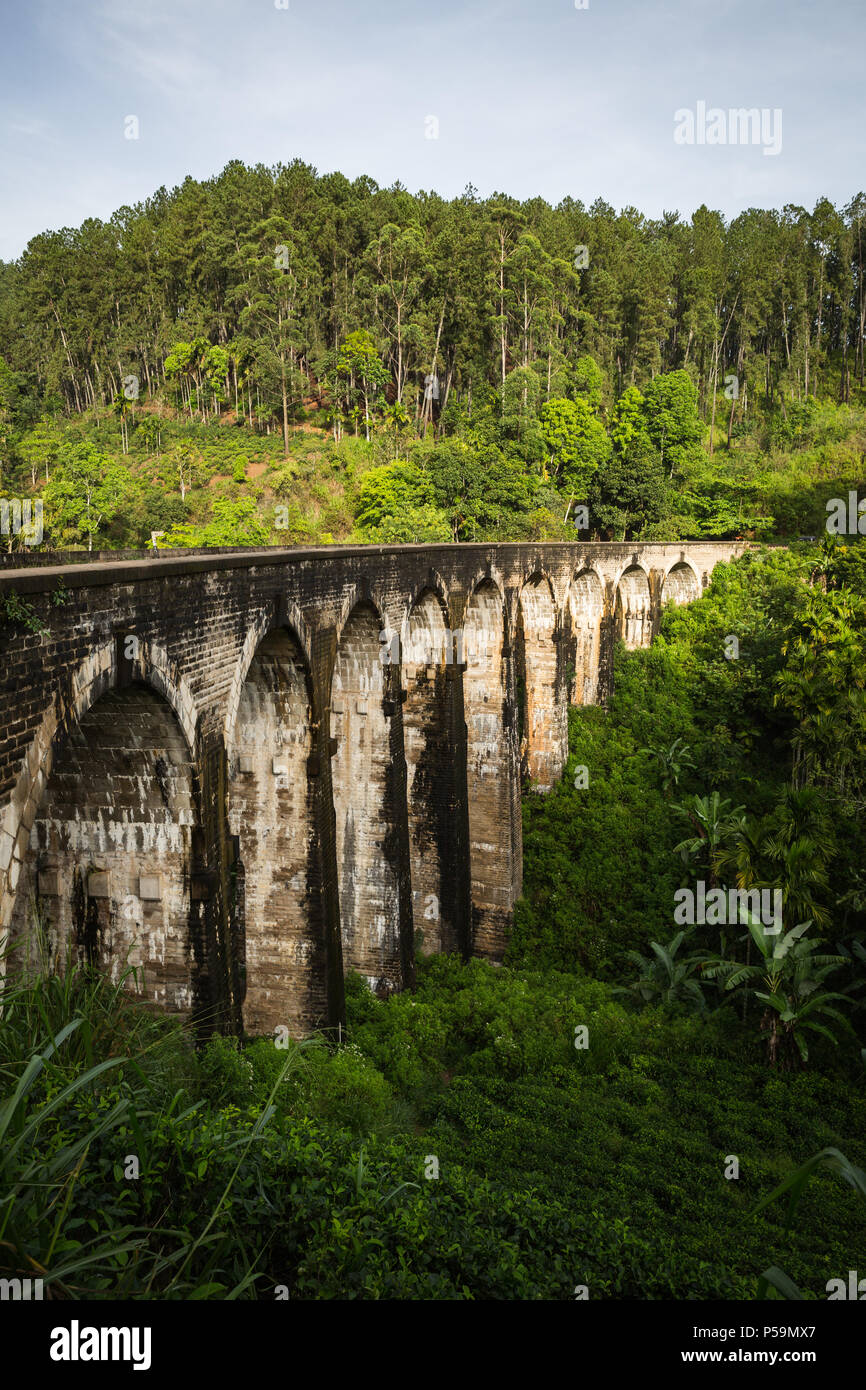 Nine arch bridge in Sri Lanka mountains Stock Photo - Alamy
