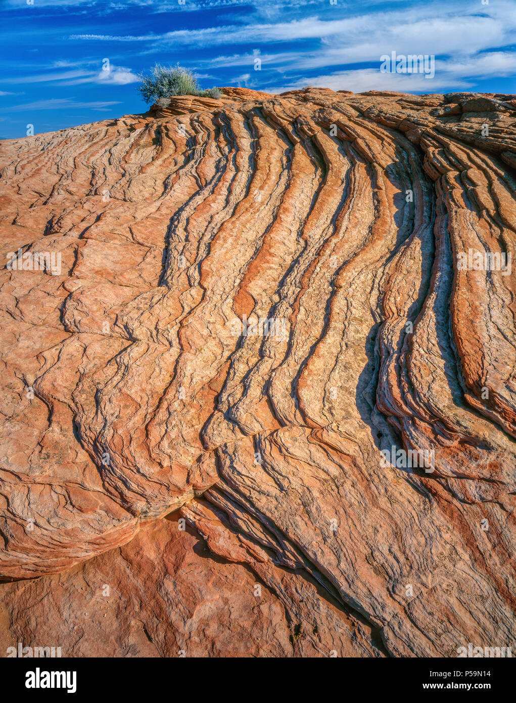 American grand staircase escalante national monument hi-res stock ...