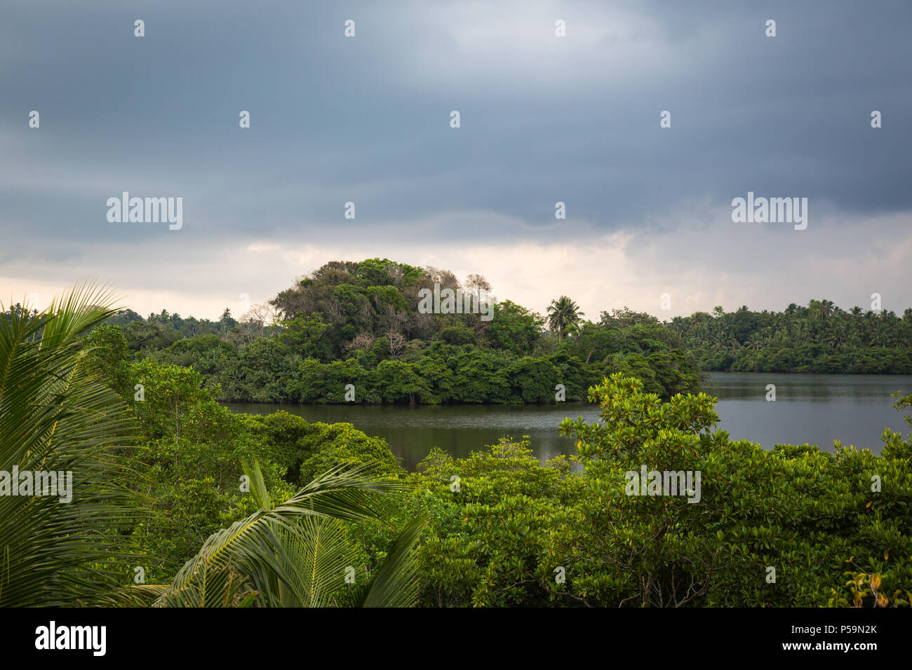 Lake near Mirissa in Sri Lankas jungle Stock Photo - Alamy