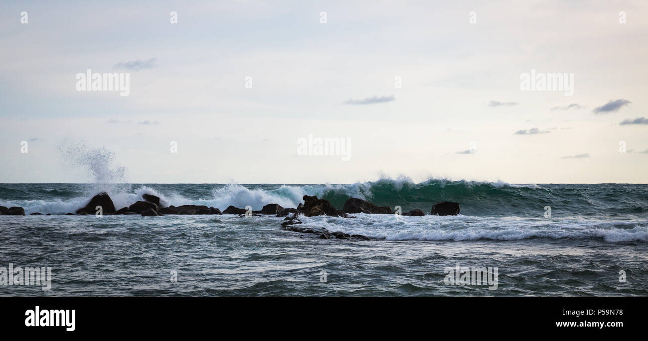 Surf wave in the Mirissa Stock Photo - Alamy