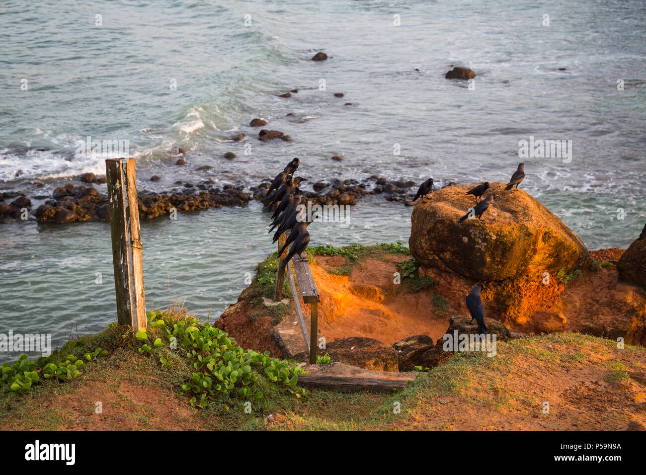 Merisa hi-res stock photography and images - Alamy