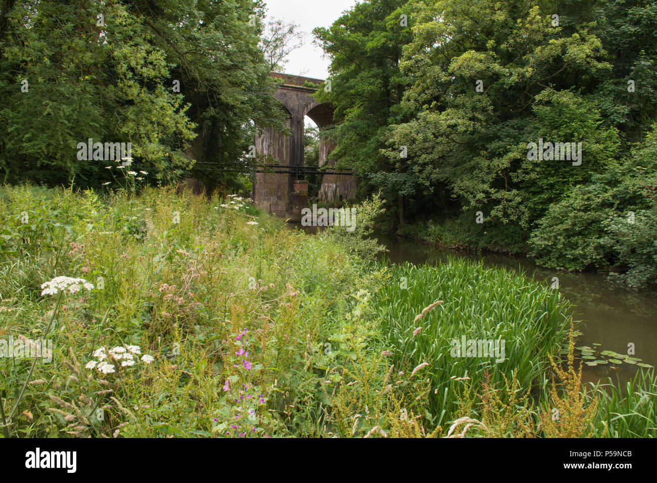 Pixham railway viaduct over the river mole near Box Hill, Surrey, UK ...