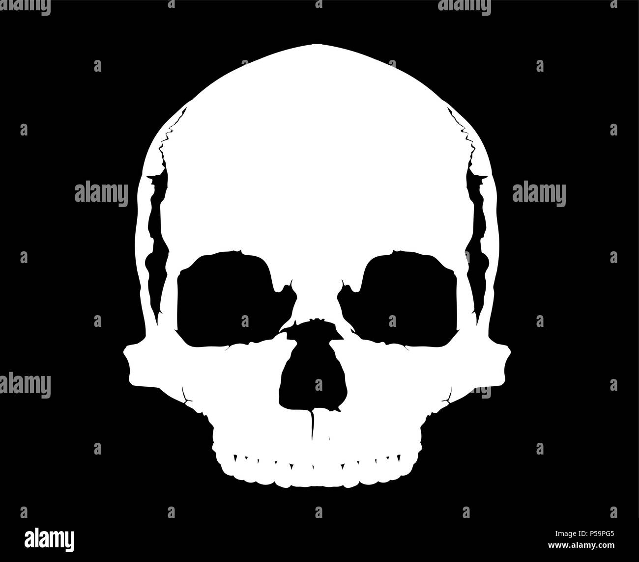 Skull in Black and White Stock Photos & Images - Alamy