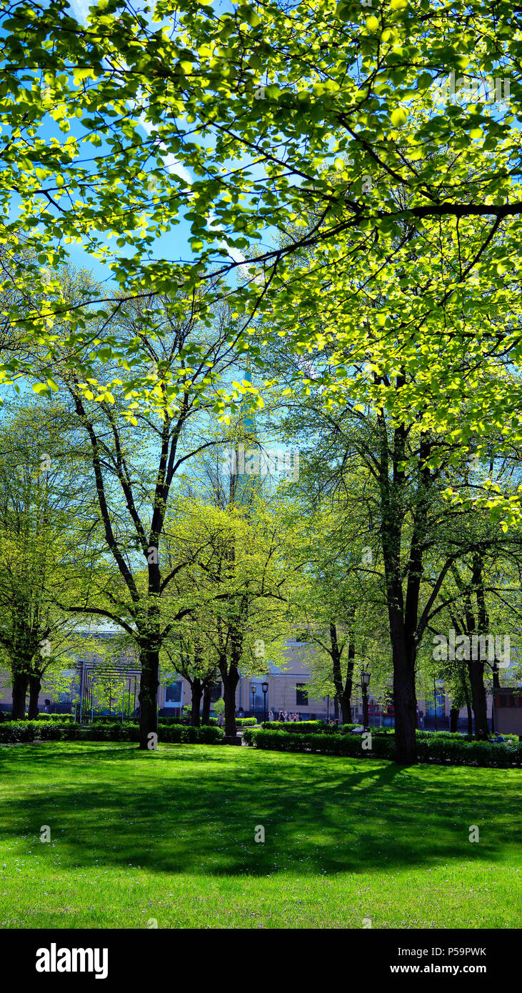 City green park in Riga in the spring Stock Photo - Alamy