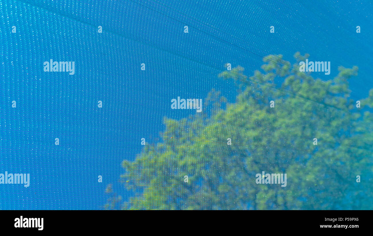 The tree behind the building mesh Stock Photo - Alamy