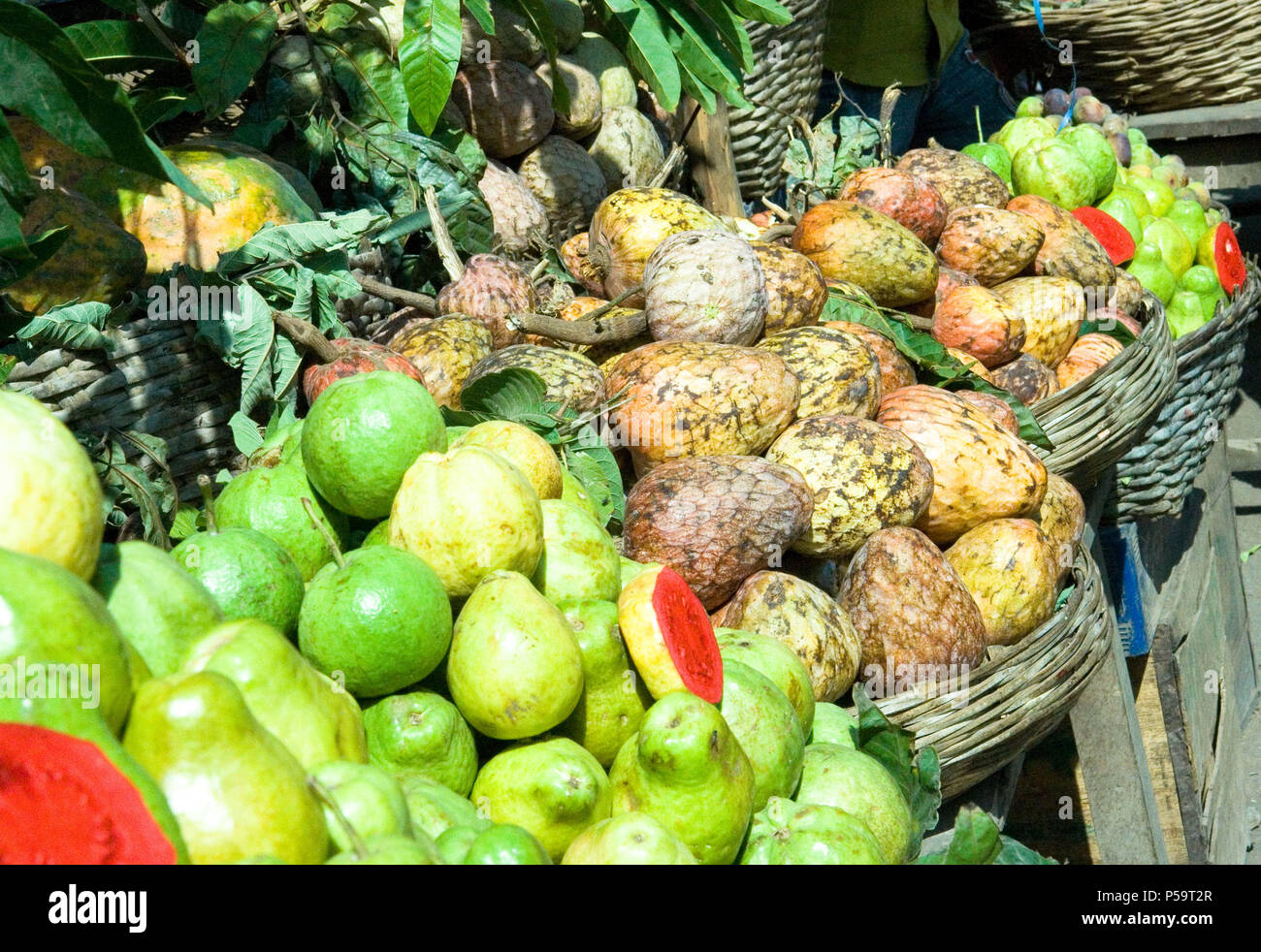 a sweet green fresh Indian fruits Stock Photo - Alamy