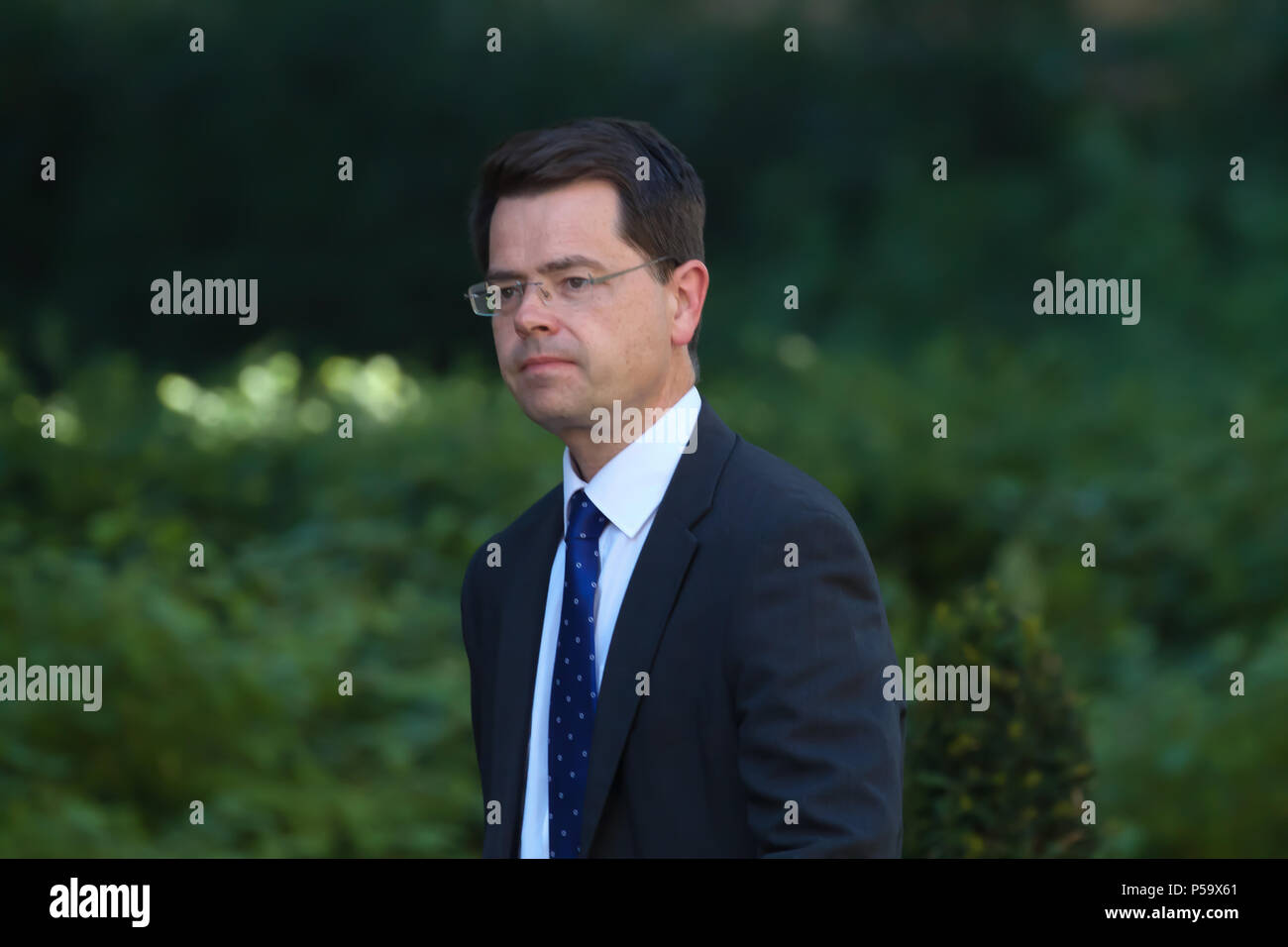 Michael gove jeremy hunt boris hi-res stock photography and images - Alamy