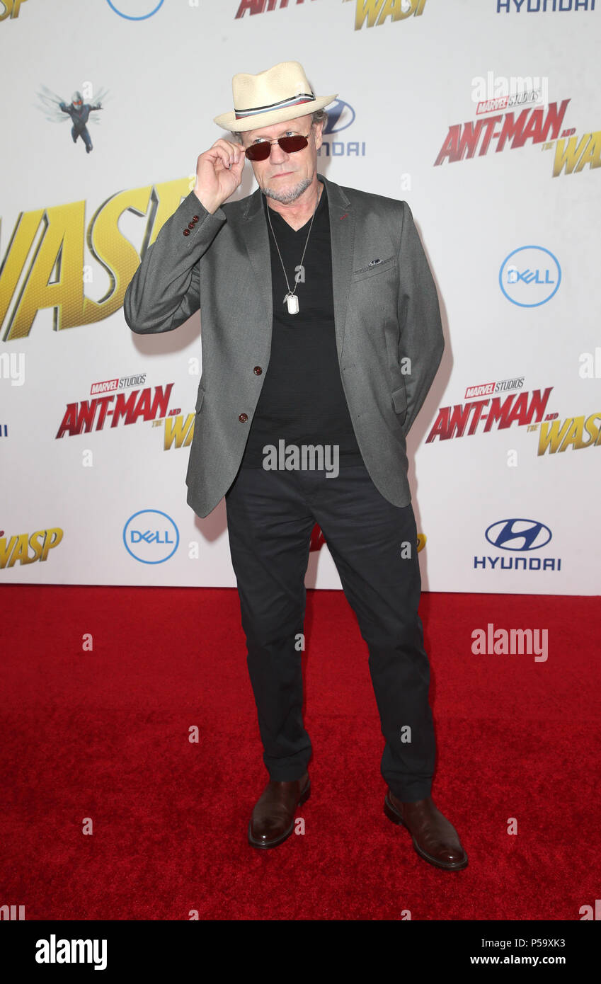 HOLLYWOOD, CA - JUNE 26: Michael Rooker, arriving to the premiere of ...
