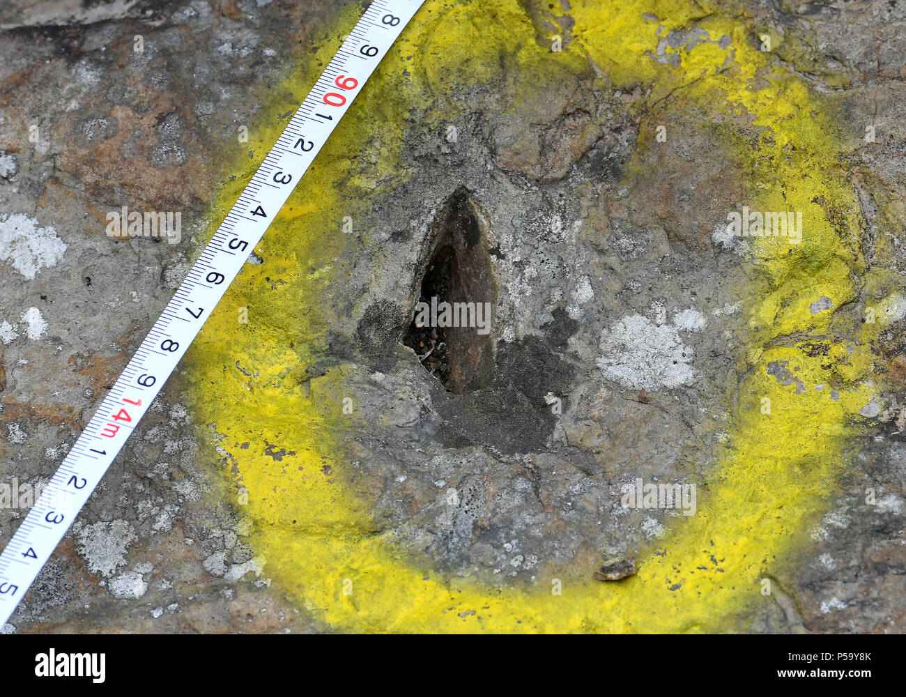 18 June 2018, Rehburg-Loccum, Germany: The 140 million year old imprint ...