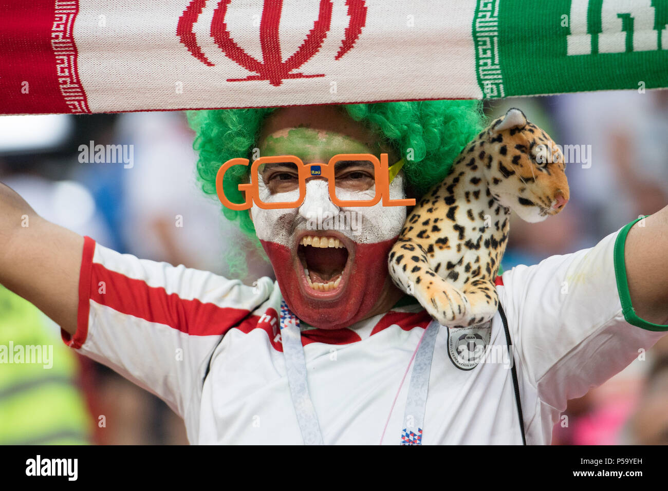 World cup supporters face paint hi-res stock photography and images - Alamy