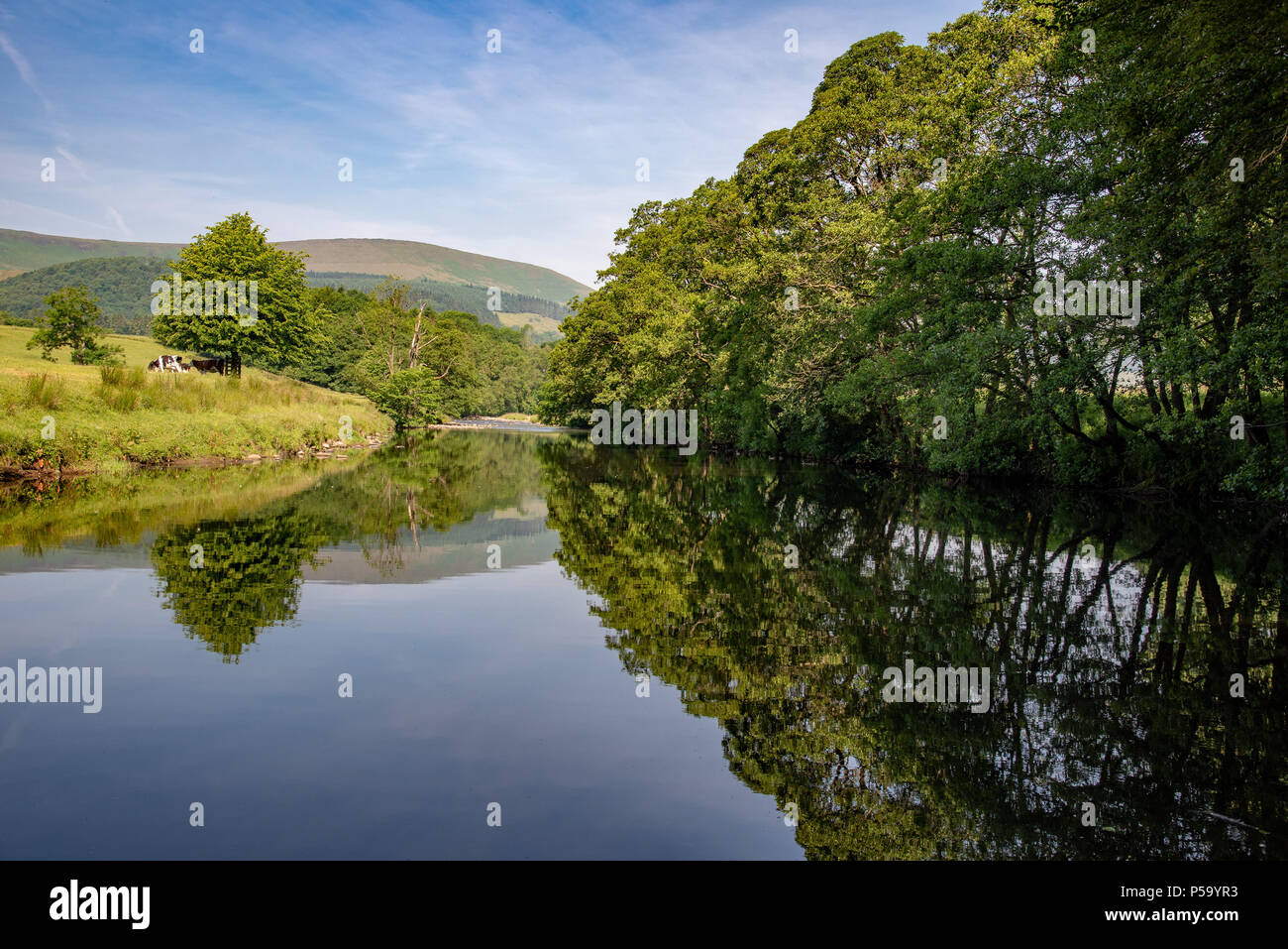 Live on june 27 hi-res stock photography and images - Alamy