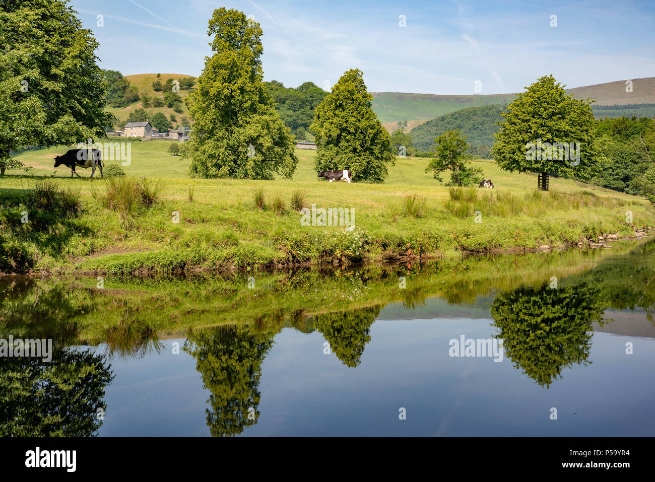 Live on june 27 hi-res stock photography and images - Alamy