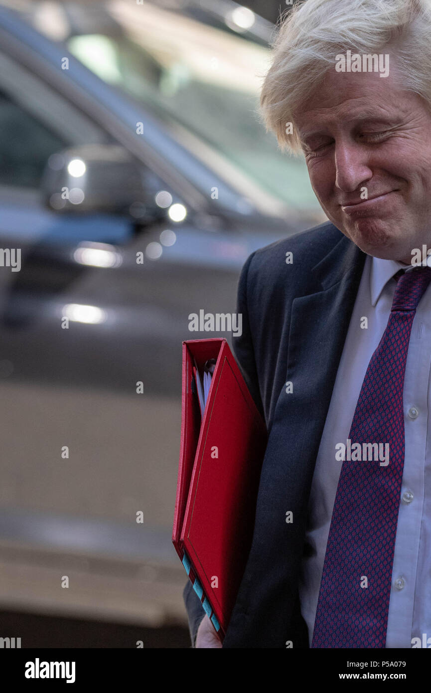 Boris johnson number 10 hi-res stock photography and images - Alamy