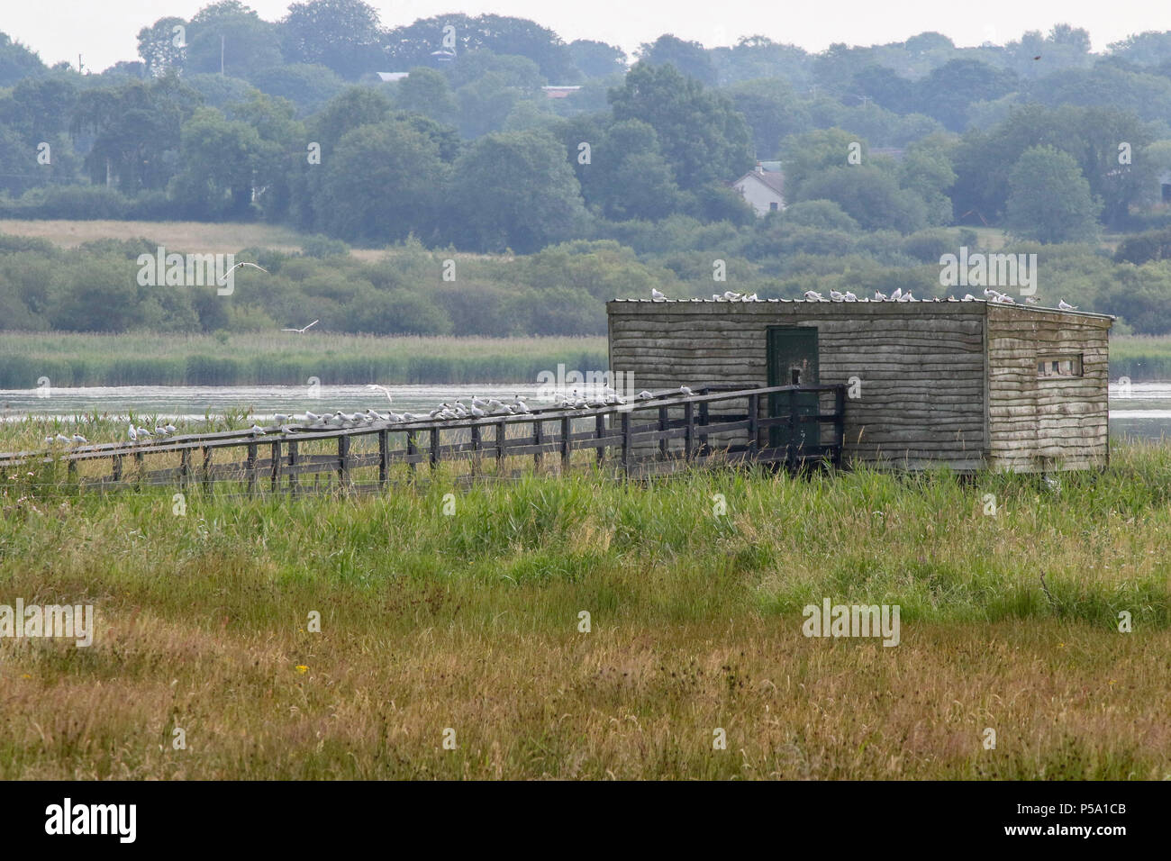 Portmore reserve hi-res stock photography and images - Alamy