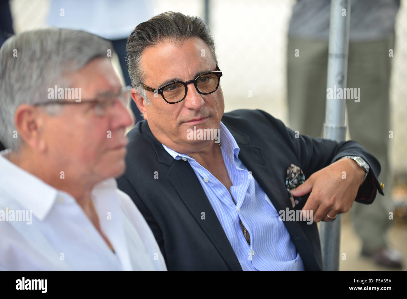 MIAMI, FL - JUNE 25: Andy Garcia attends a street designation ceremony ...