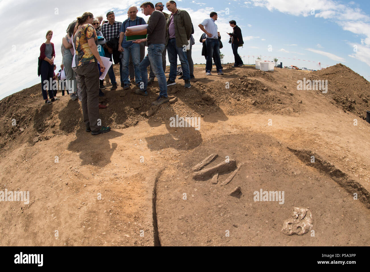 Bell beaker culture hi-res stock photography and images - Alamy