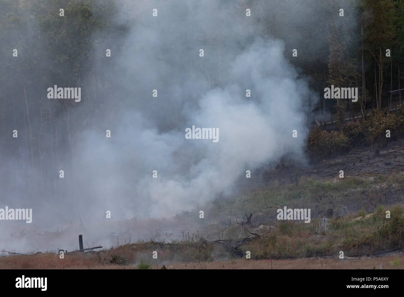 Fire Spread Out High Resolution Stock Photography and Images - Alamy