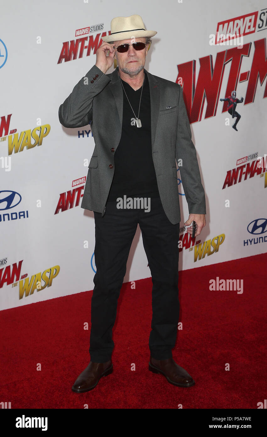 Hollywood, United States. 24th June, 2018. 25 June 2018 - Hollywood ...