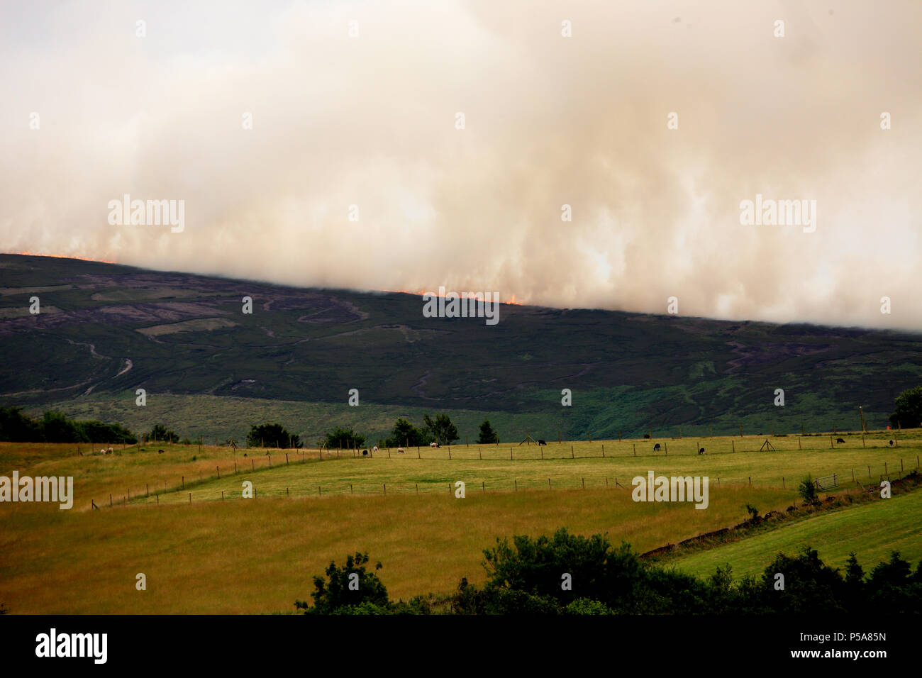 Tackling wildfire on saddleworth moor hi-res stock photography and ...