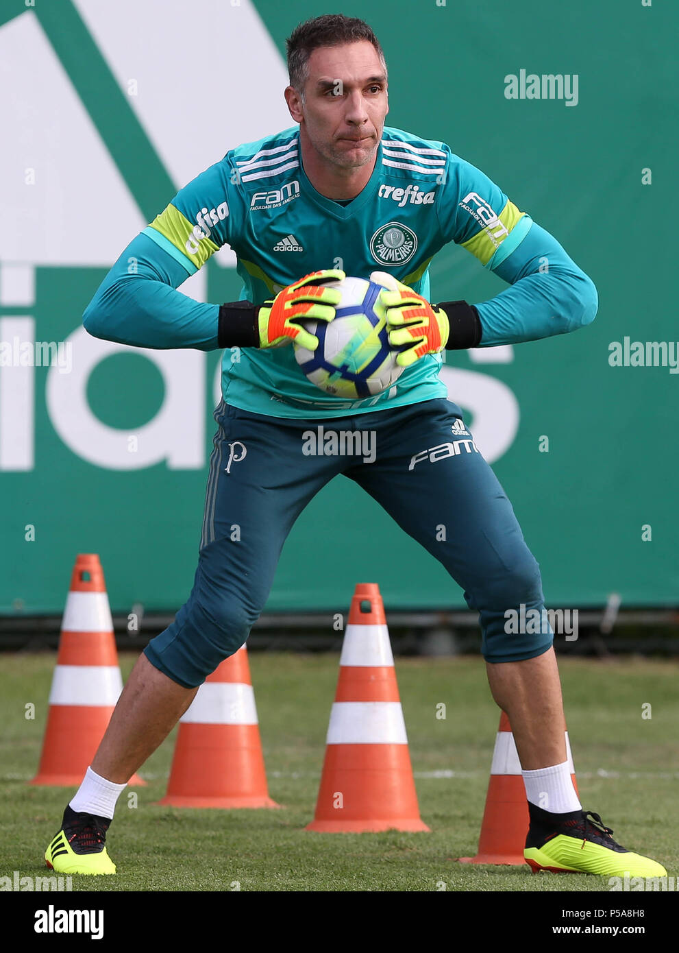 SÃO PAULO, SP - 26.06.2018: TREINO DO PALMEIRAS - Goalkeeper Fernando ...