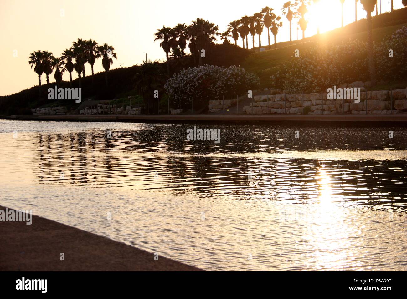 Hadera water park hi-res stock photography and images - Alamy