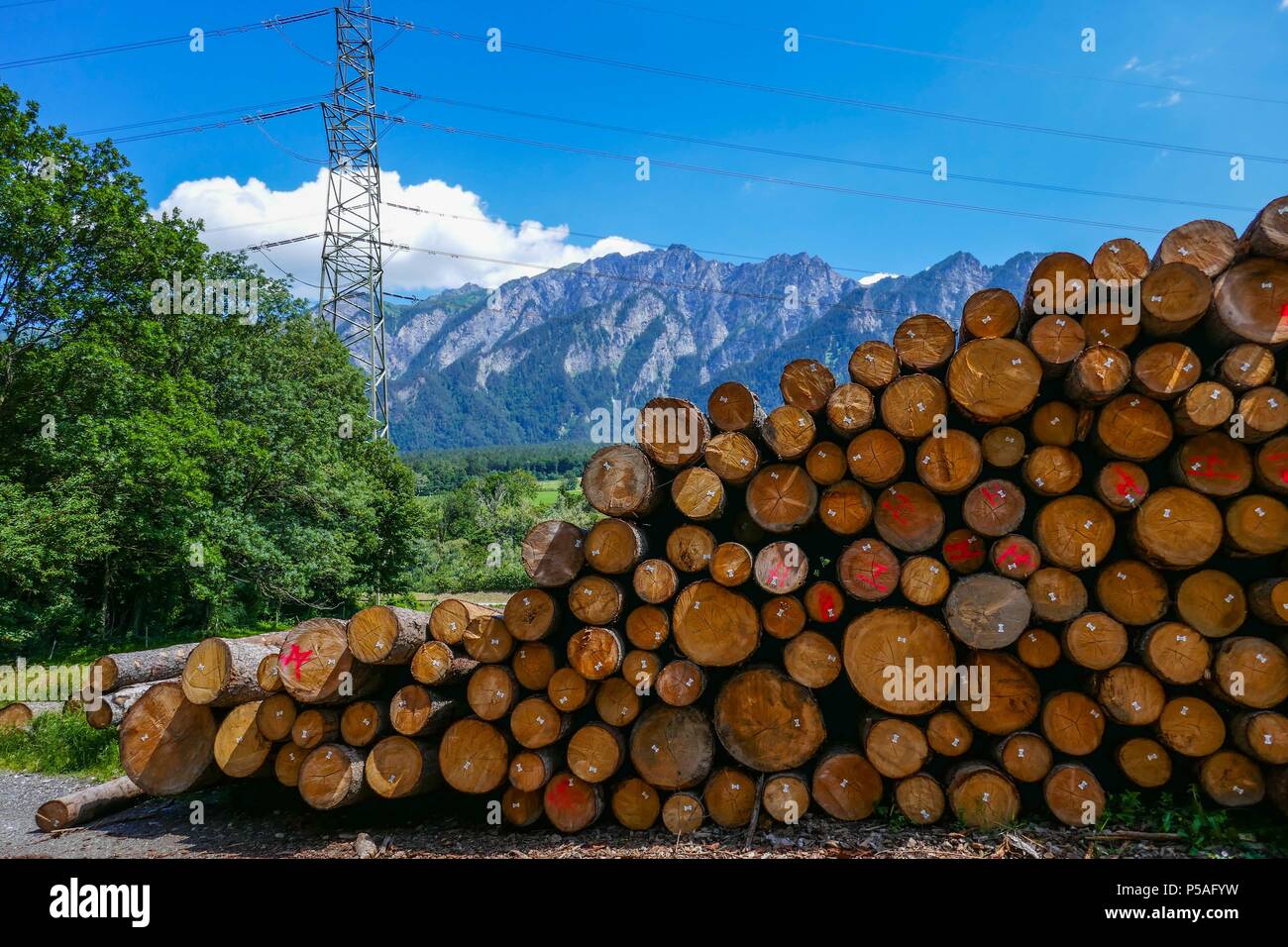 Timber pile pylon hi-res stock photography and images - Alamy