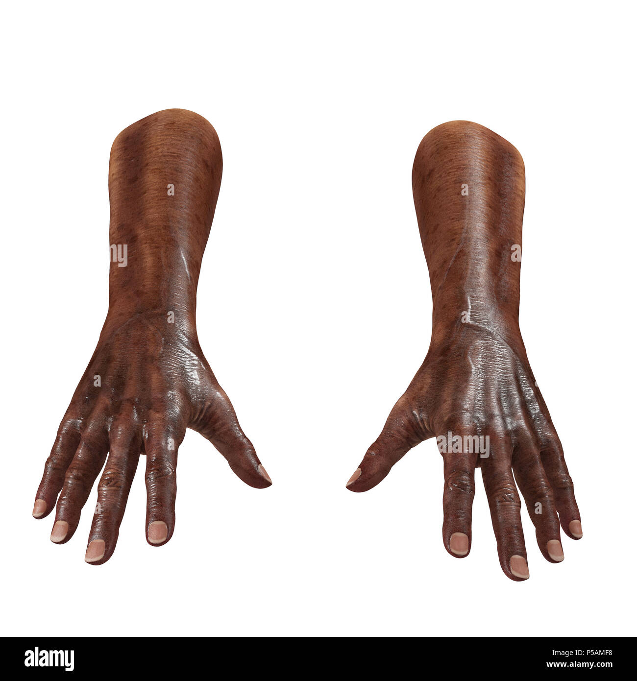 african hand of the old man isolated on a white. 3D illustration Stock ...