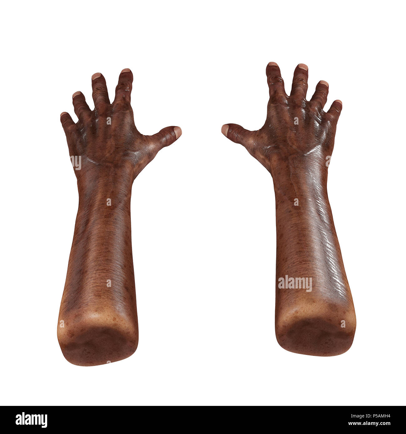 3d african american hands Cut Out Stock Images & Pictures - Alamy